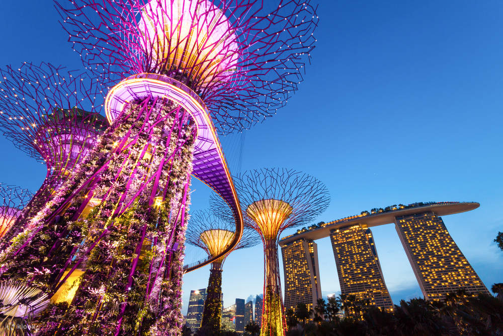 [Klook Cares] Donate an Experience - 1 Day Sperience SG Tour by City ...